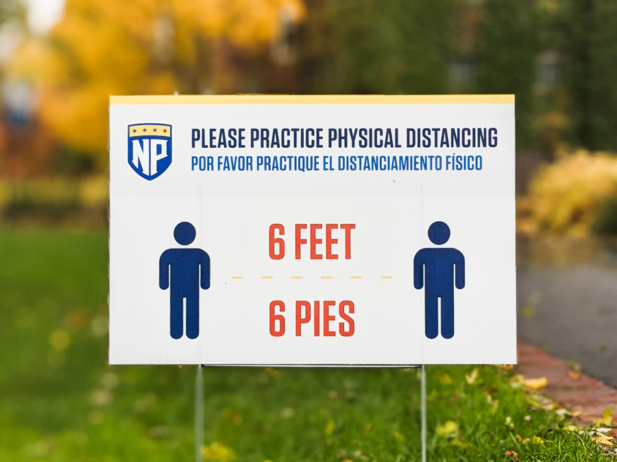 Sarah Shull—Visual Designer — Sarah Shull Design